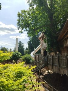 High-energy fun at Windsor Great Park’s Adventure Play - Breaks and Bites