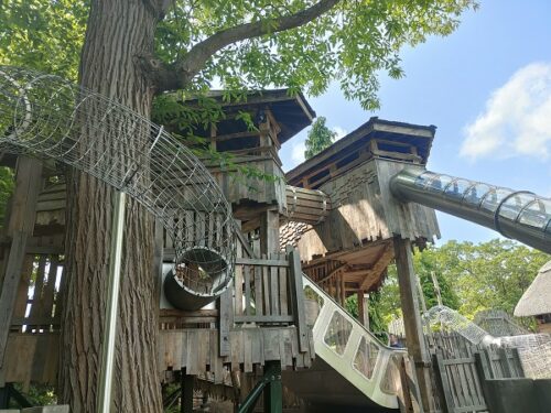High-energy fun at Windsor Great Park’s Adventure Play - Breaks and Bites