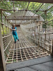 High-energy fun at Windsor Great Park’s Adventure Play - Breaks and Bites